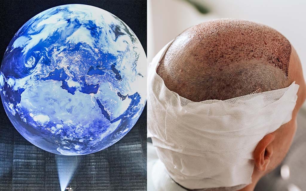 Environmental Bureaucrats Conveniently Decide To Hold COP Summit In ...