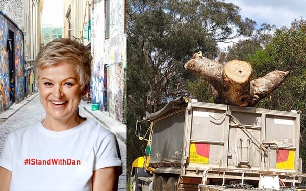 Dan Andrews Loyalist Feels A Bit Sad About The Djab Wurrung Trees But ...