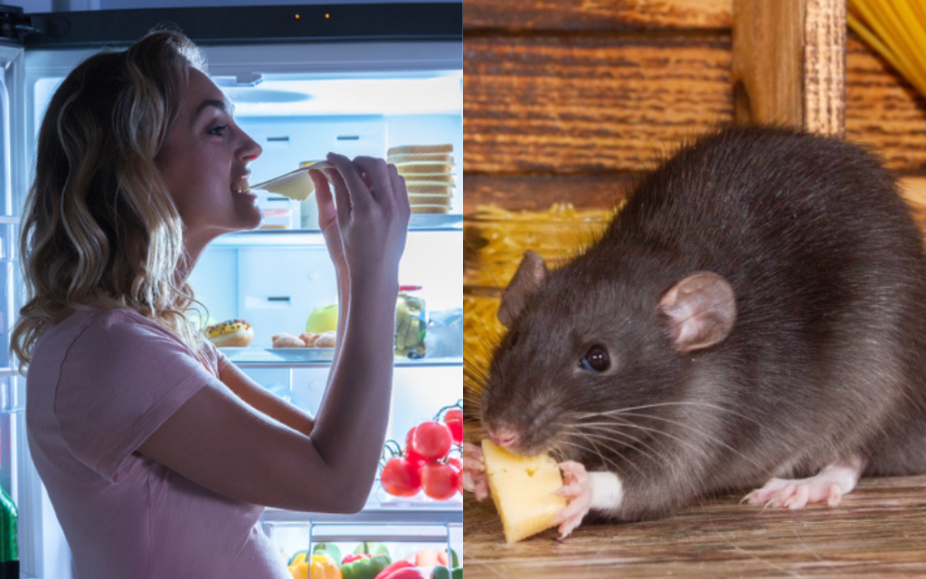 Local Woman Rummages Fridge For Single Slice Of Cheese To Nibble On ...